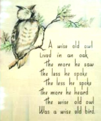 A Wise Old Owl at Thurston House - Thurston House Bed and Breakfast